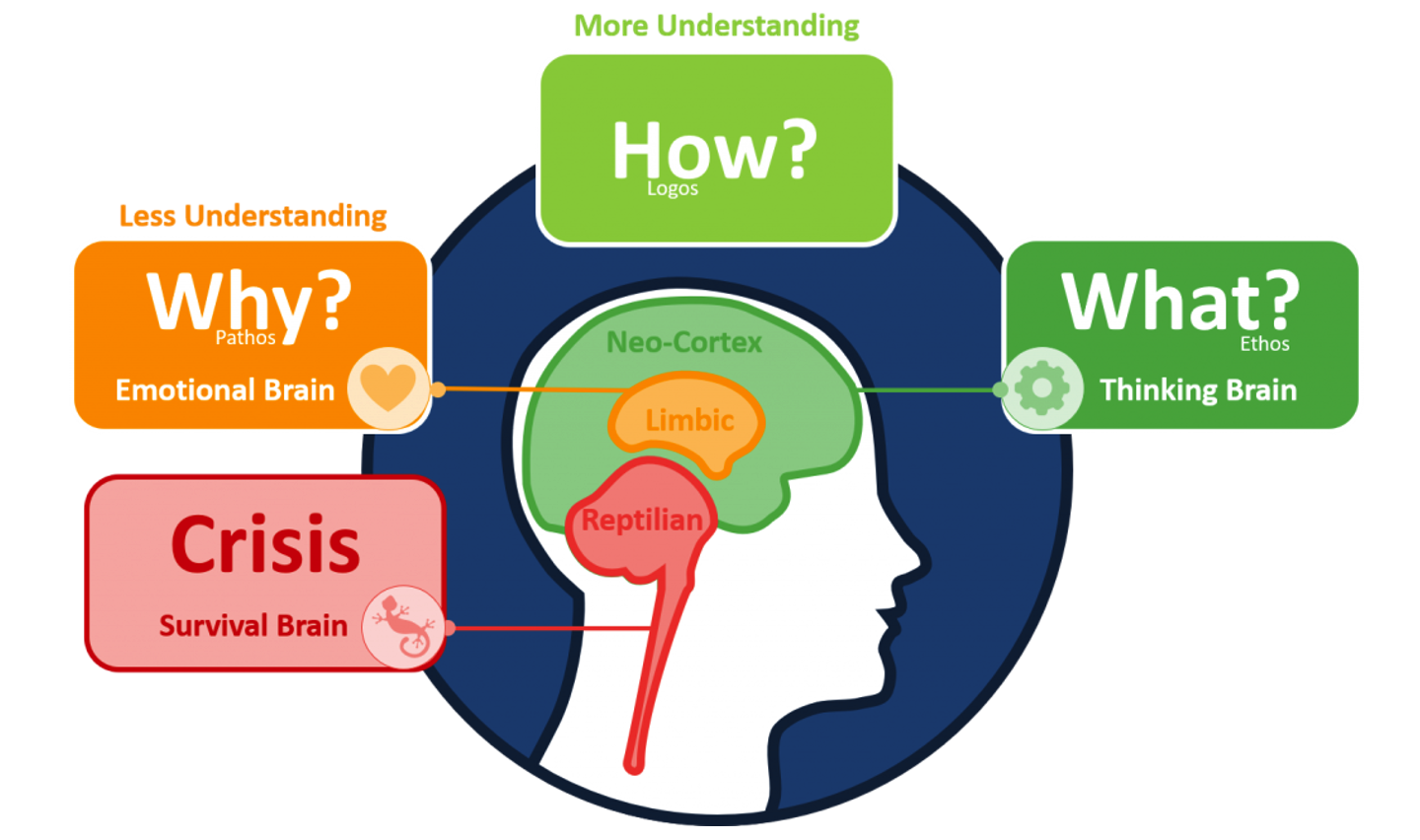 Neuromarketing dan Neuroselling pada Peningkatan Penjualan Bisnis Anda